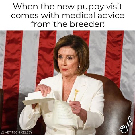 Veterinary Humor