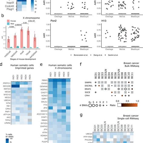 Analysis Of Bulk And Single Cell RNA Seq Data From Human Organoids For Download Scientific