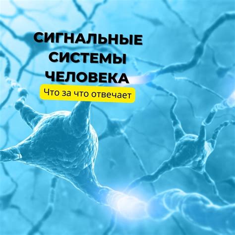 Сигнальные системы человека Telegraph