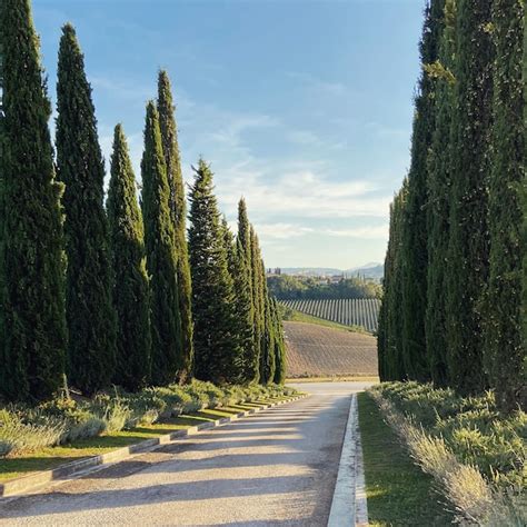 Premium Photo Empty Road