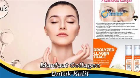 Banyak Yang Belum Tahu Ini Dia 8 Manfaat Collagen Untuk Kulit Yang