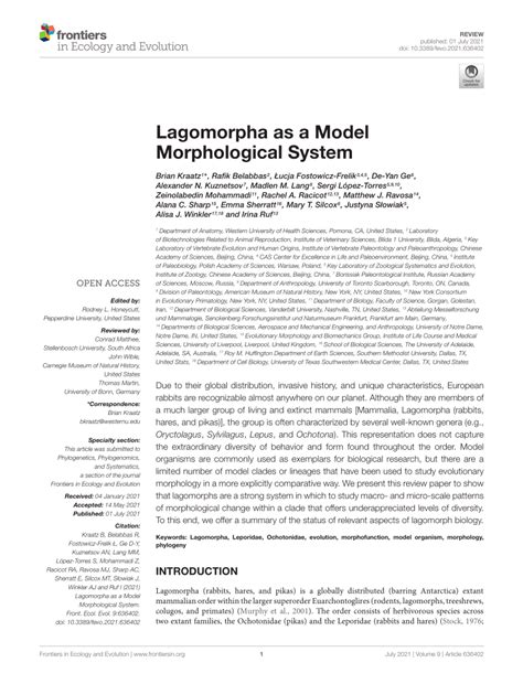 Pdf Lagomorpha As A Model Morphological System
