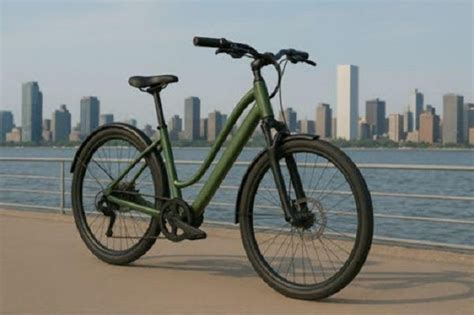 Why A Class 2 Ebike Is So Popular Engwe