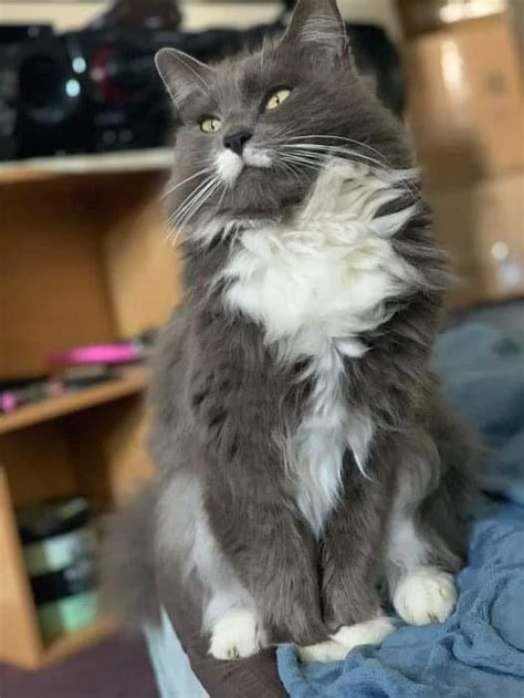 We Are Devastated Is He Okay Does He Know How Much We Love Him I Really Hope He Is Still