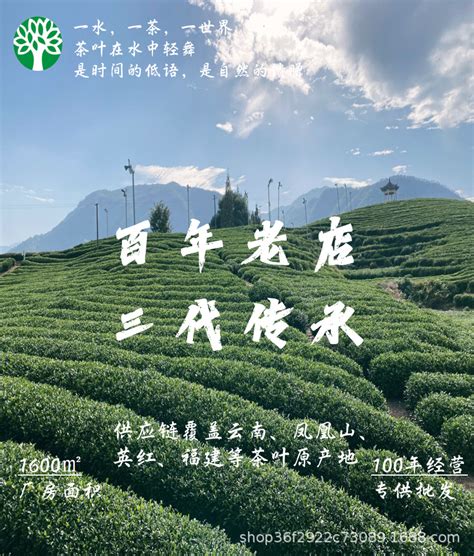 花茶广西横县特级茉莉花茶 茉莉金针 浓香型厂家散直销装电商批发 阿里巴巴