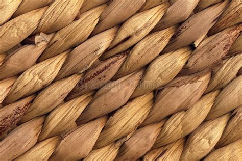 916 Raffia Texture Stock Photos Free Royalty Free Stock Photos From