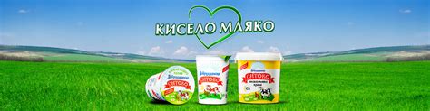 Мандра Ситово Кисело Мляко