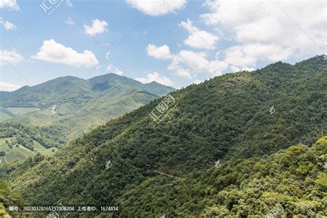 Huitu