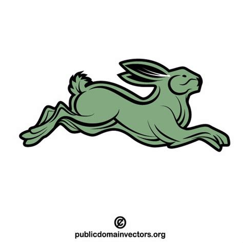Running Rabbit Png