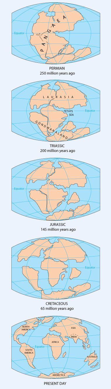 Watch Interactive Tectonic Drift Break Up Of Pangea Ift Tt