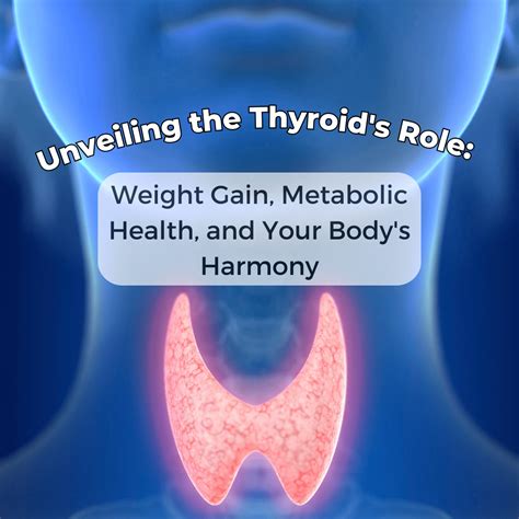 Unveiling The Thyroids Role Weight Gain Metabolic Health And Your