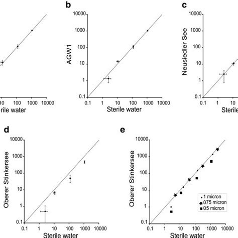 Schematic Overview Of Solid Phase Cytometry Steps Include Membrane Download Scientific