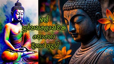 Il Poya Daya ඉල් පුරපසලොස්වක පොහොය අදයි Youtube