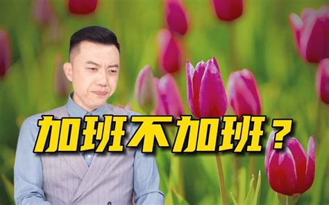 反正它们不加班! 央视农业 央视农业 哔哩哔哩视频 反正它们不加班! 央视农业 央视农业 哔哩哔哩视频