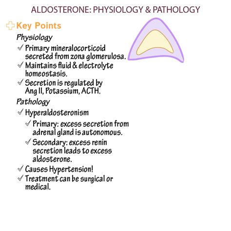 Aldosterone Potassium