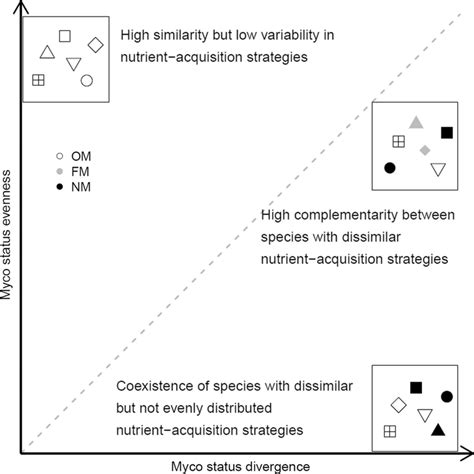 Complementary Information Of Plant Mycorrhizal Status Divergence And
