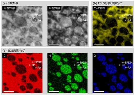 無染色によるポリマーアロイの相分離構造観察 株式会社UBE科学分析センター