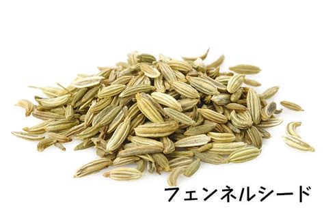 独特の甘みと清涼感を持つスパイス・フェンネルシードの意外な効能 たべるご
