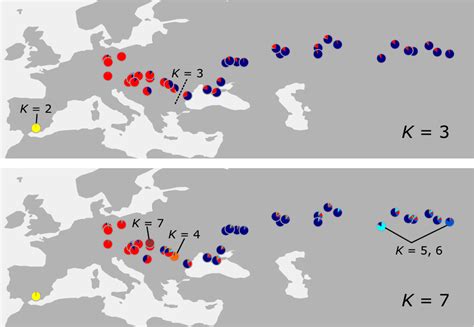Pie Charts One For Each Population Created With Lea Using The Gbs Download Scientific Diagram