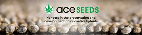 Ace Seeds Preservando Genéticas únicas De Cannabis