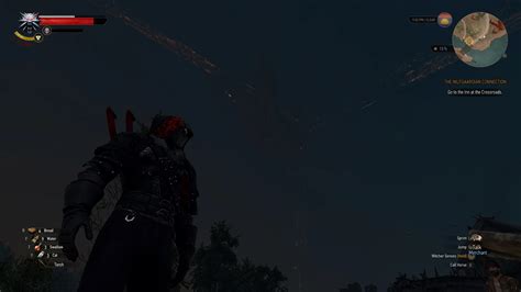 Bug At The Witcher Nexus Mods And Community