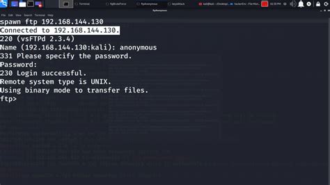 Hackerenv Un Outil De Recherche Et Dexploitation De Vulnérabilités