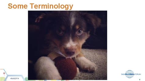 Best Practices For Implementing High Availability For Sas