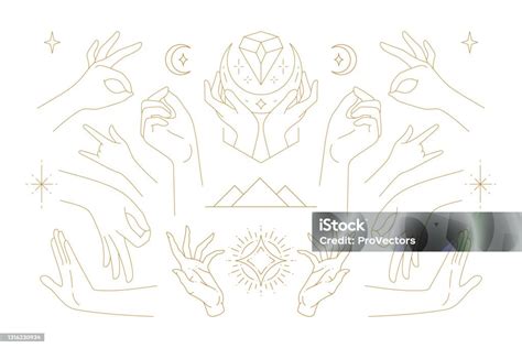 Ilustración De Manos Femeninas Gestos Colección De Ilustraciones