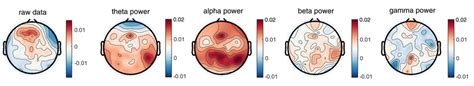 Topography Plots Showing The Mean Eeg Activity Across All Subjects From