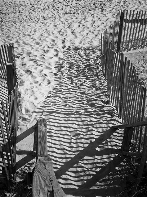 Shadows In The Sand Photograph By Teresa Mucha Fine Art America
