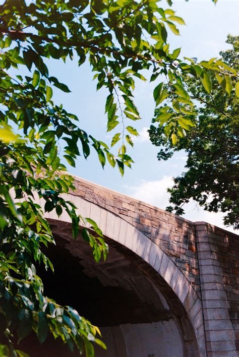 Valoi Easy35 Film Scanner Review Reinventing Camera Scanning Digital