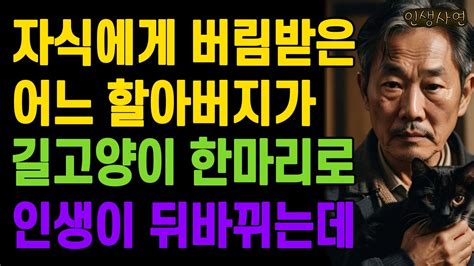 자식에게 버림받은 어느 할아버지가 길고양이 한 마리로 인생이 뒤바뀌는데 노년의 삶의 지혜 행복한 노후생활 부모자식갈등 사연