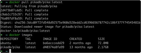 Docker Issue Openatomfoundation Pika Github
