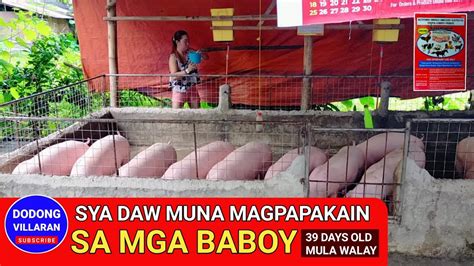 SYA DAW MUNA MAGPAPAKAIN SA MGA BABOY Dodong Villaran YouTube