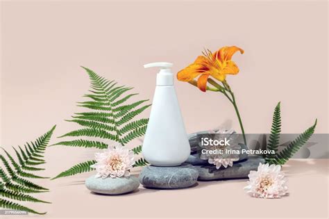 고사리 잎 국화 원추리 꽃으로 둘러싸인 돌 연단 위의 화장품 용기 밝은 배경에 있는 유기농 화장품 모형 0명에 대한 스톡 사진 및 기타 이미지 Istock