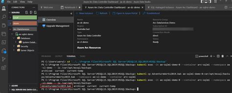 Arc Enabled Data Services 9 Sql Masters Consulting