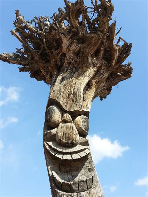 Images Gratuites Sculpture Arbre Plante Statue Art Plante