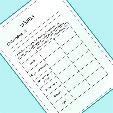 Ks Biology Reproduction Worksheets Male And Female Reproduction Puberty And More