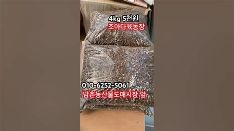 💥다육이 키우는 배합토 ♦️전화주문 조아다육 Youtube