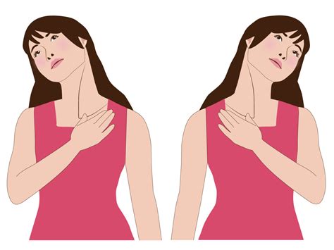 胸鎖乳突筋を知ってますか？首肩こりの原因にもなる筋肉 Stretch Hero