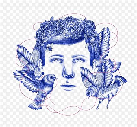创意男子头像飞鸟插画PNG图片素材下载 图片编号yxjazkbk 免抠素材网