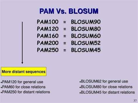 ppt sequence alignment and database searching powerpoint presentation