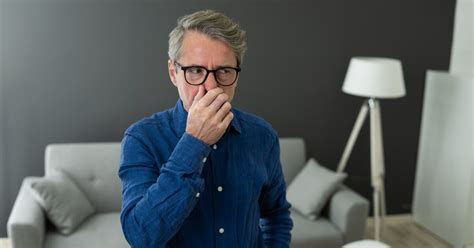 Basement Smells Like Skunk Possible Causes And Fixes
