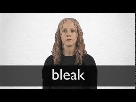 BLEAK Definition And Meaning Collins English Dictionary