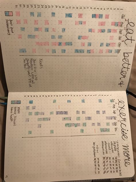 Food And Exercise Tracker 2018 Album On Imgur