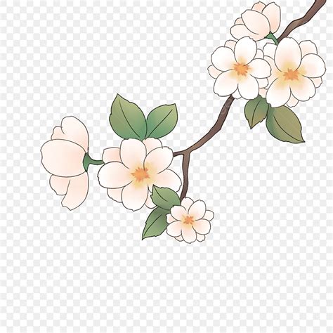 배 일러스트 꽃 수채화 중국식 자루 중국식 자유형 배 꽃 Png 일러스트 및 Psd 이미지 무료 다운로드 Pngtree