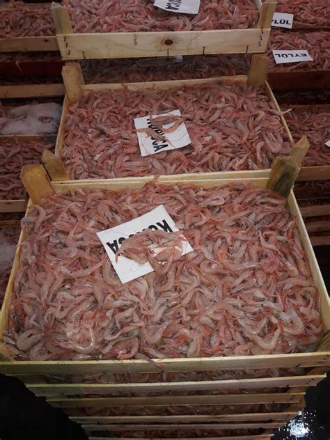 Ekşi Sözlük Kutsal Bilgi Kaynağı