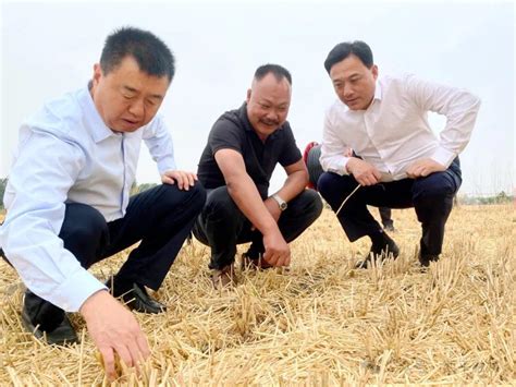 西平县委书记侯公涛督导调研“三夏”生产等重点工作凤凰网河南凤凰网