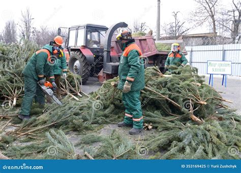 Municipal Workers Puts Branches Of Used Christmas Trees In Receiver Of