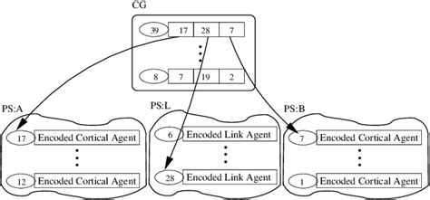 A Schematic Overview Of The Coevolutionary Process Cg Is Represented Download Scientific